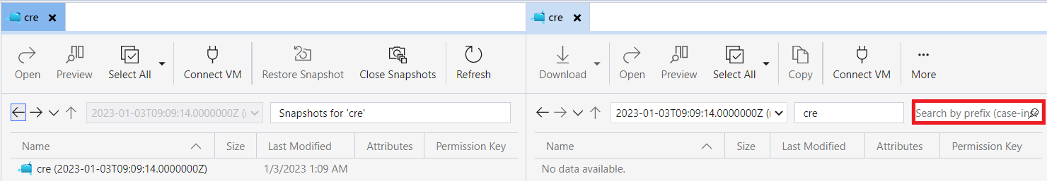 The string and the search icon overlaps in the 'Search by prefix' after opening one snapshot in ...