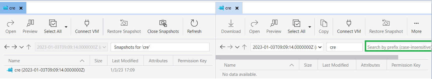 The string and the search icon overlaps in the 'Search by prefix' after opening one snapshot in ...