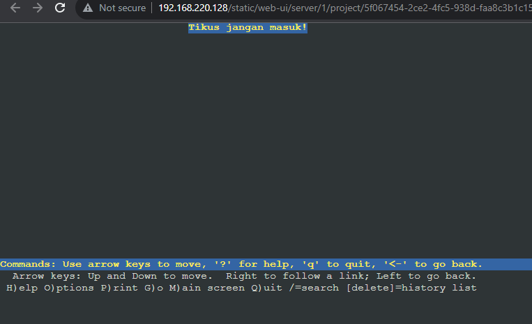 GitHub - melanierefman/Jarkom-Modul-2-B09-2023