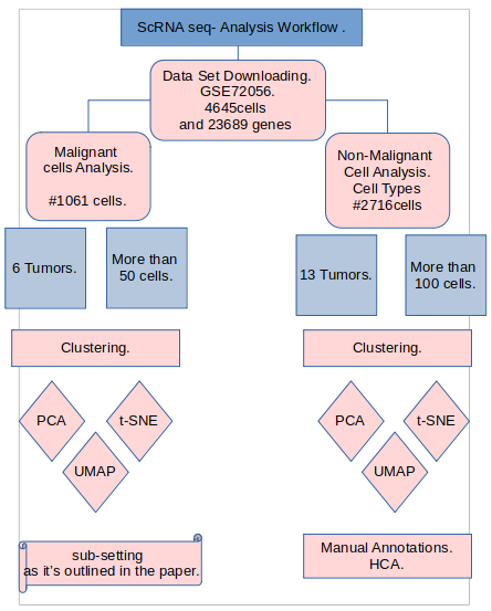 GitHub - balqees-mansour/Single-Cell-RNA-Analysis: perform two data analyses using the single ...