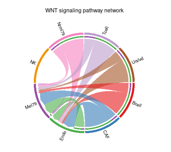 GitHub - balqees-mansour/Single-Cell-RNA-Analysis: perform two data analyses using the single ...