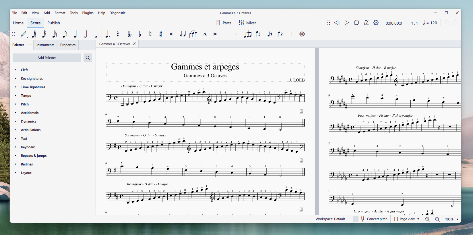 Wrong viewing scale after reconnecting extended display · Issue #18157 · musescore/MuseScore ...
