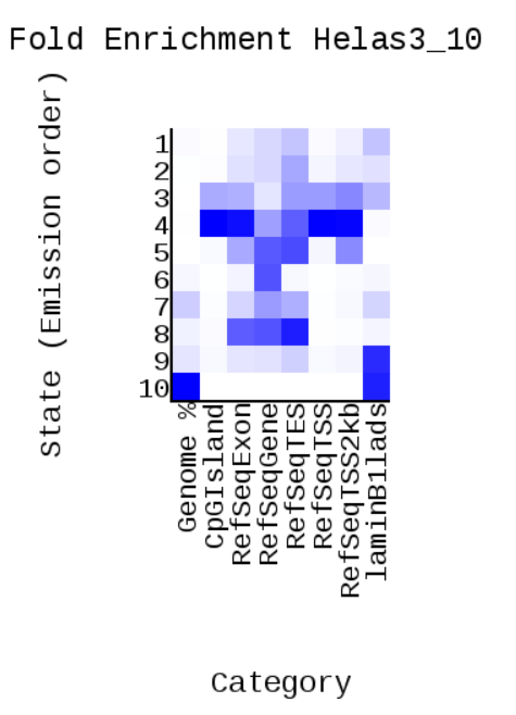 GitHub - nik-fedorov/hse_hw3_chromhmm