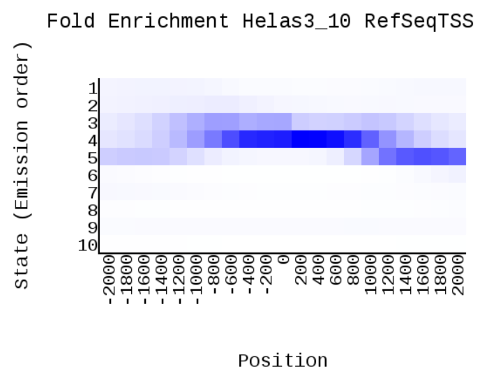 GitHub - nik-fedorov/hse_hw3_chromhmm
