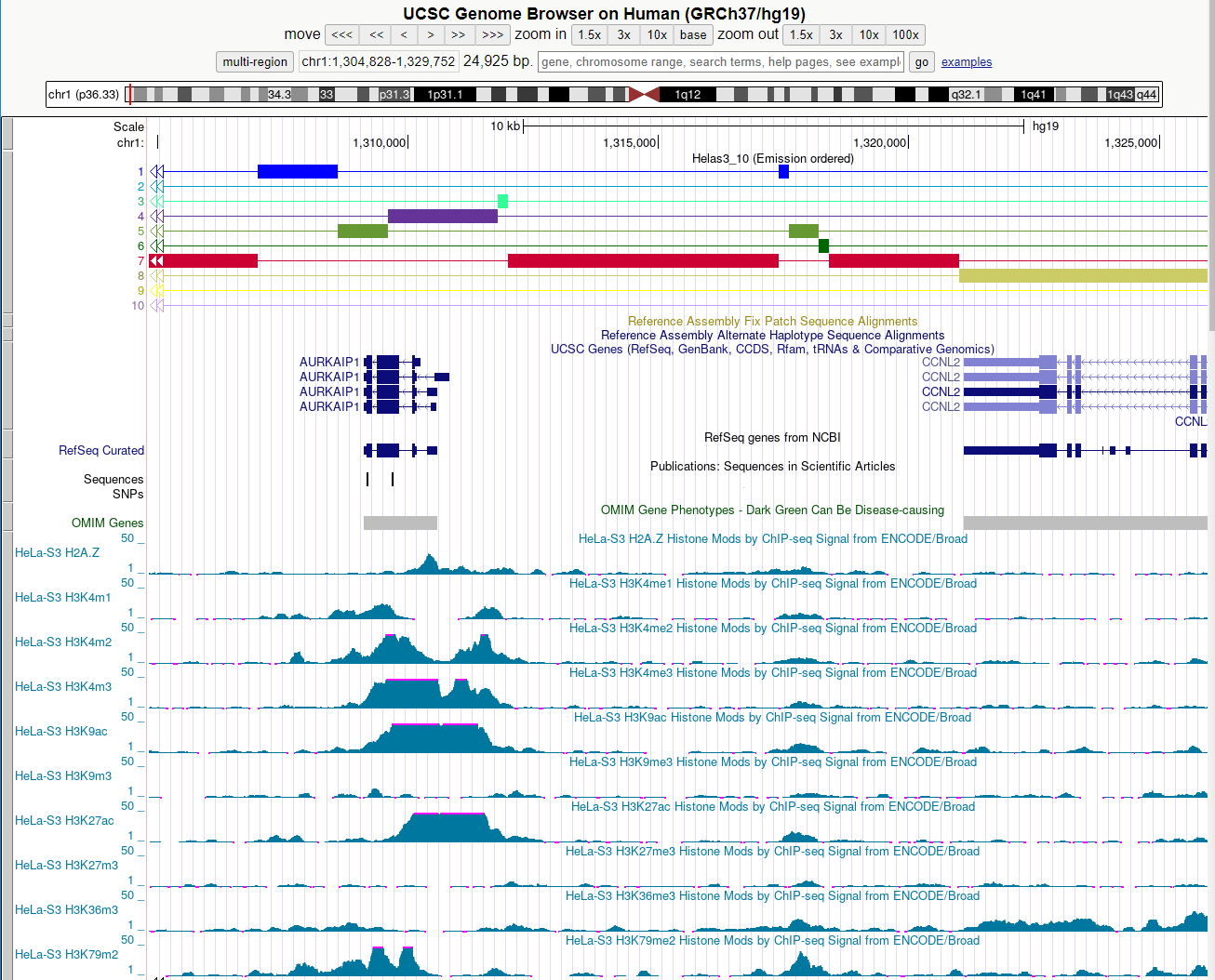 GitHub - nik-fedorov/hse_hw3_chromhmm