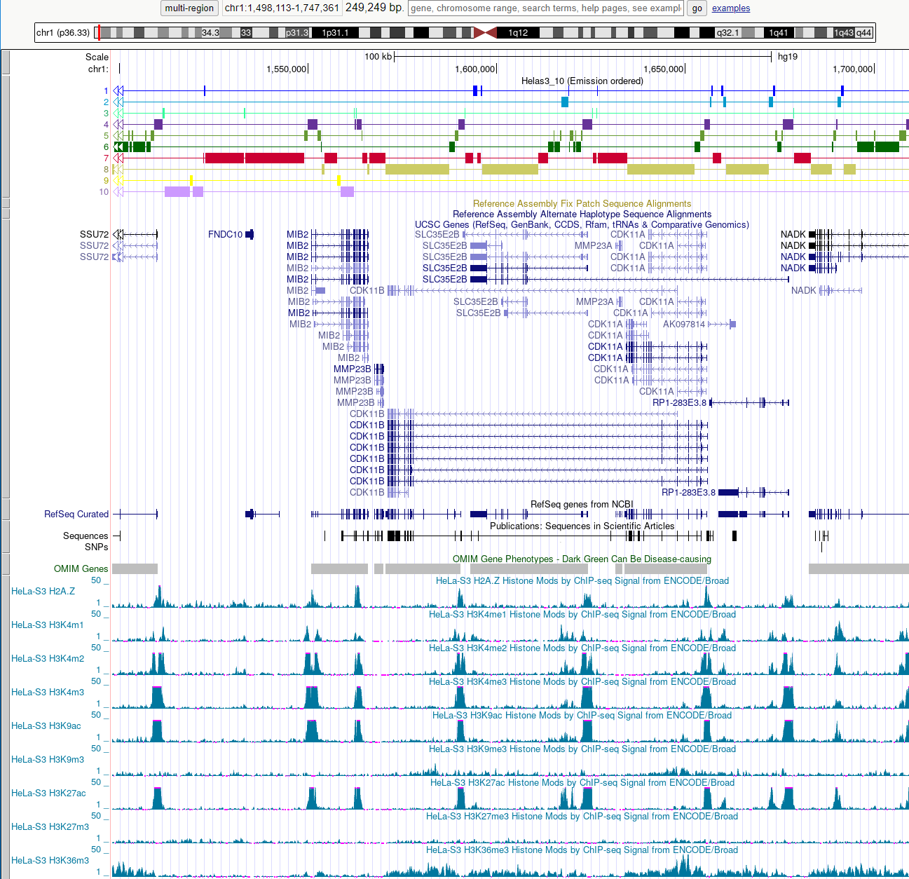 GitHub - nik-fedorov/hse_hw3_chromhmm