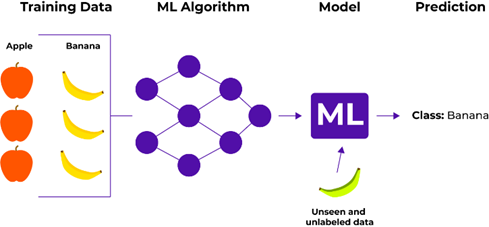 GitHub - RubaALmohya/Decision_Tree
