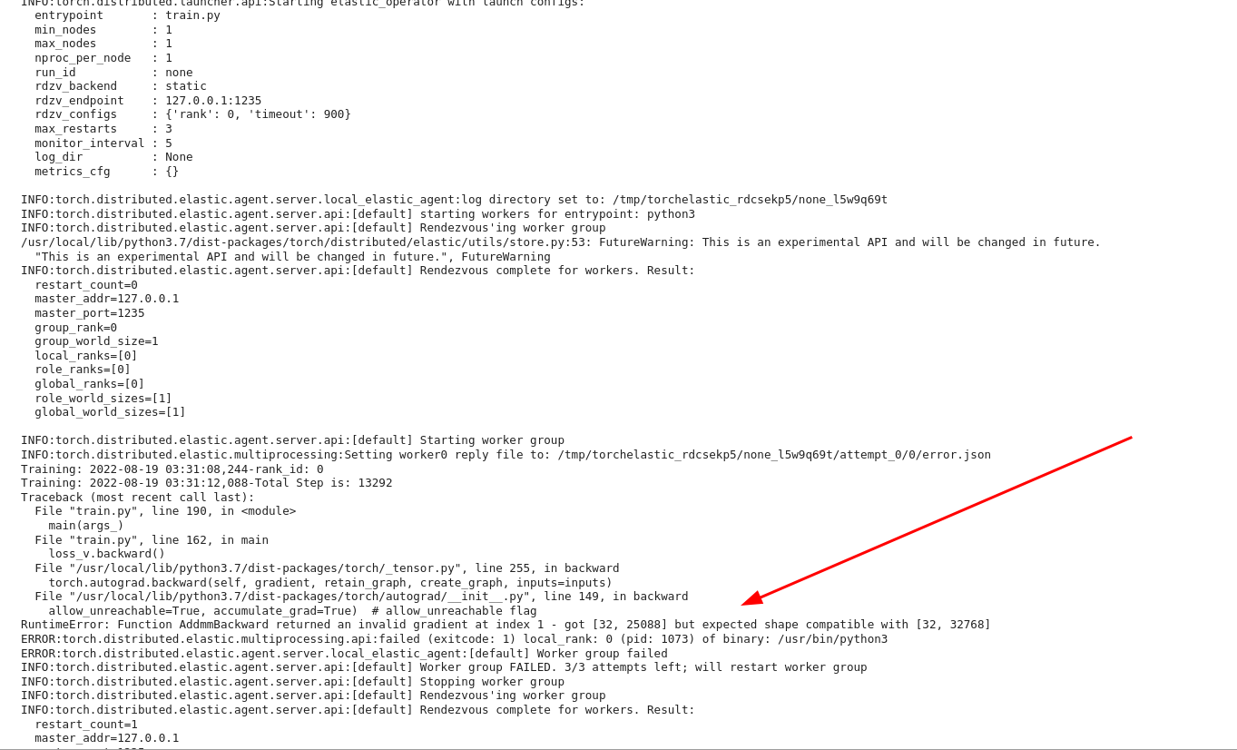 I Have Problem When Training Function Addmmbackward Returned An Invalid Gradient At Index 1