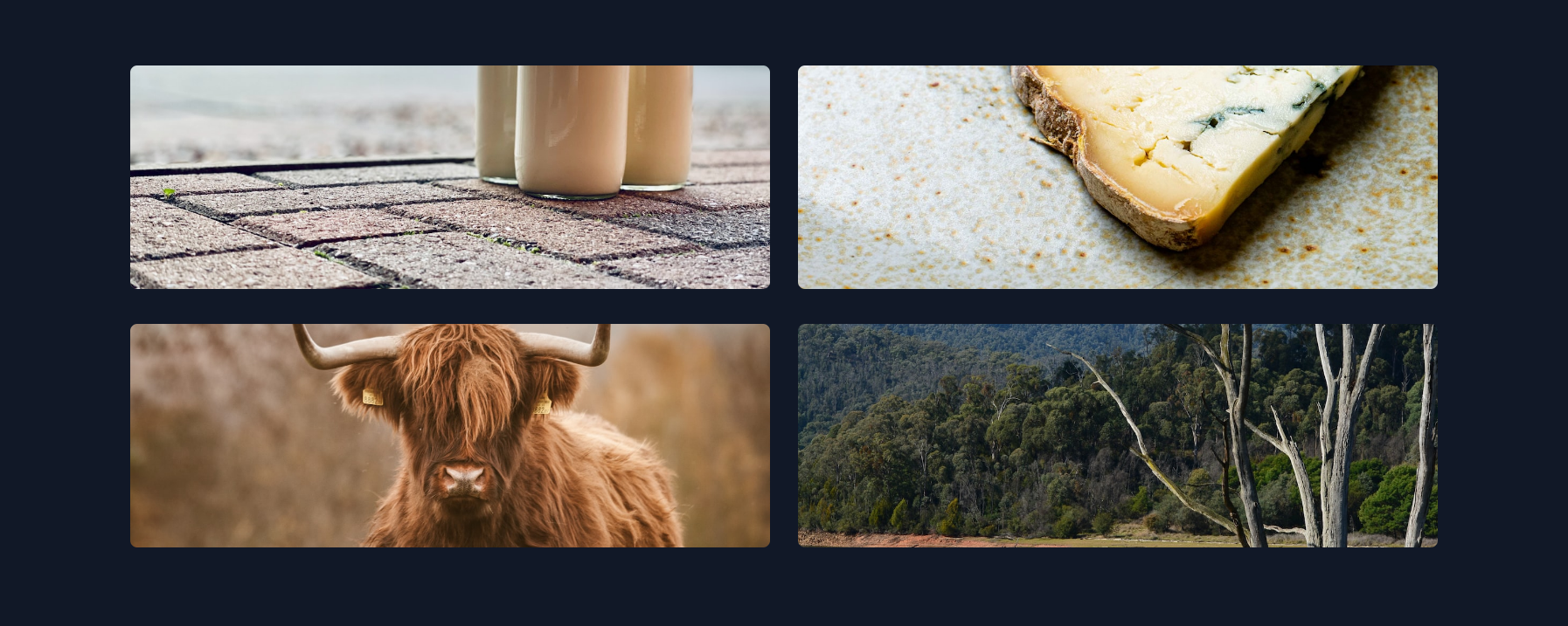 GitHub - BHATTz/TEAM