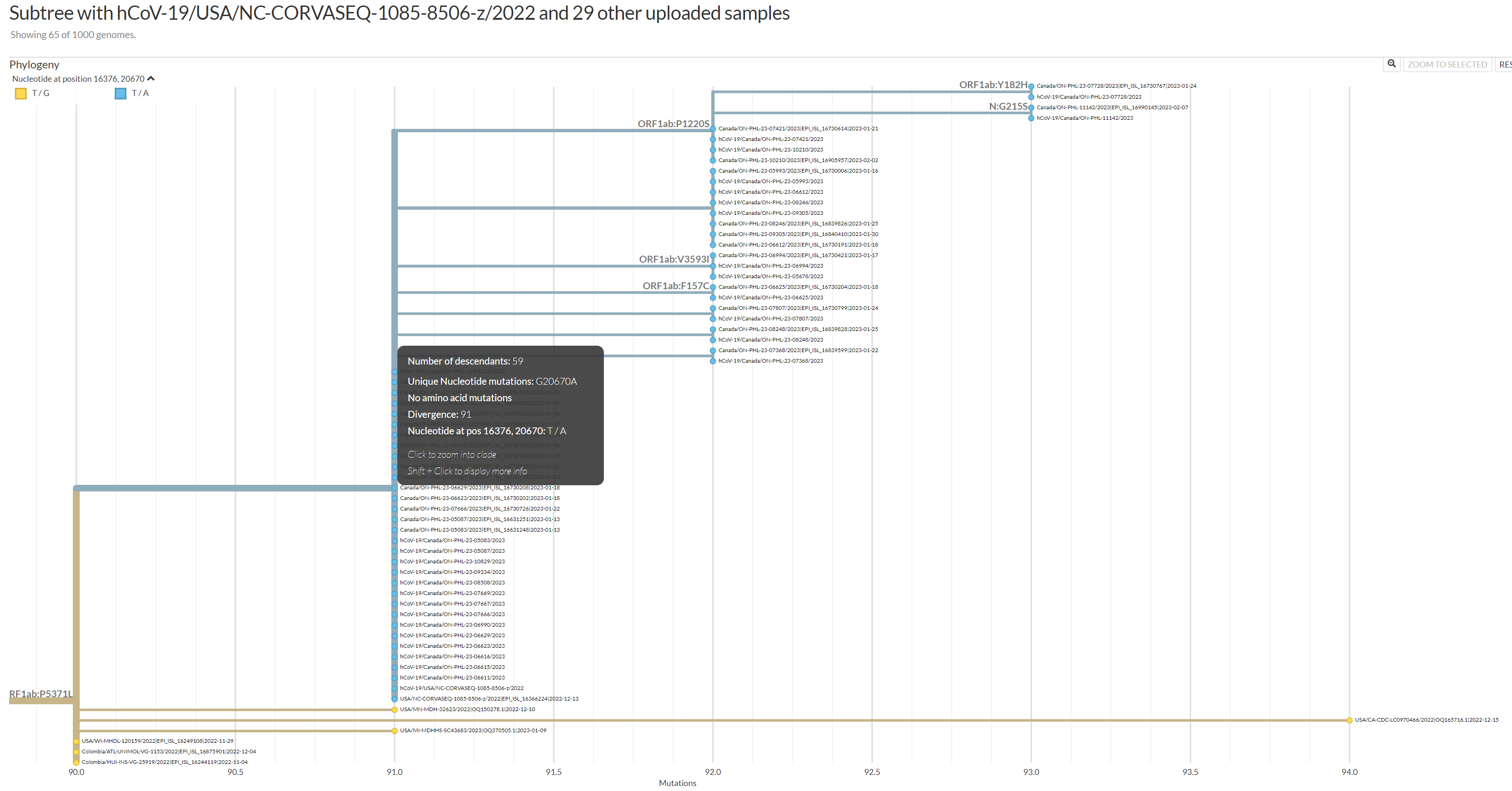 XBB.1 with additional mutations ORF1ab:P5371L; Nuc:G20670A mainly in ...