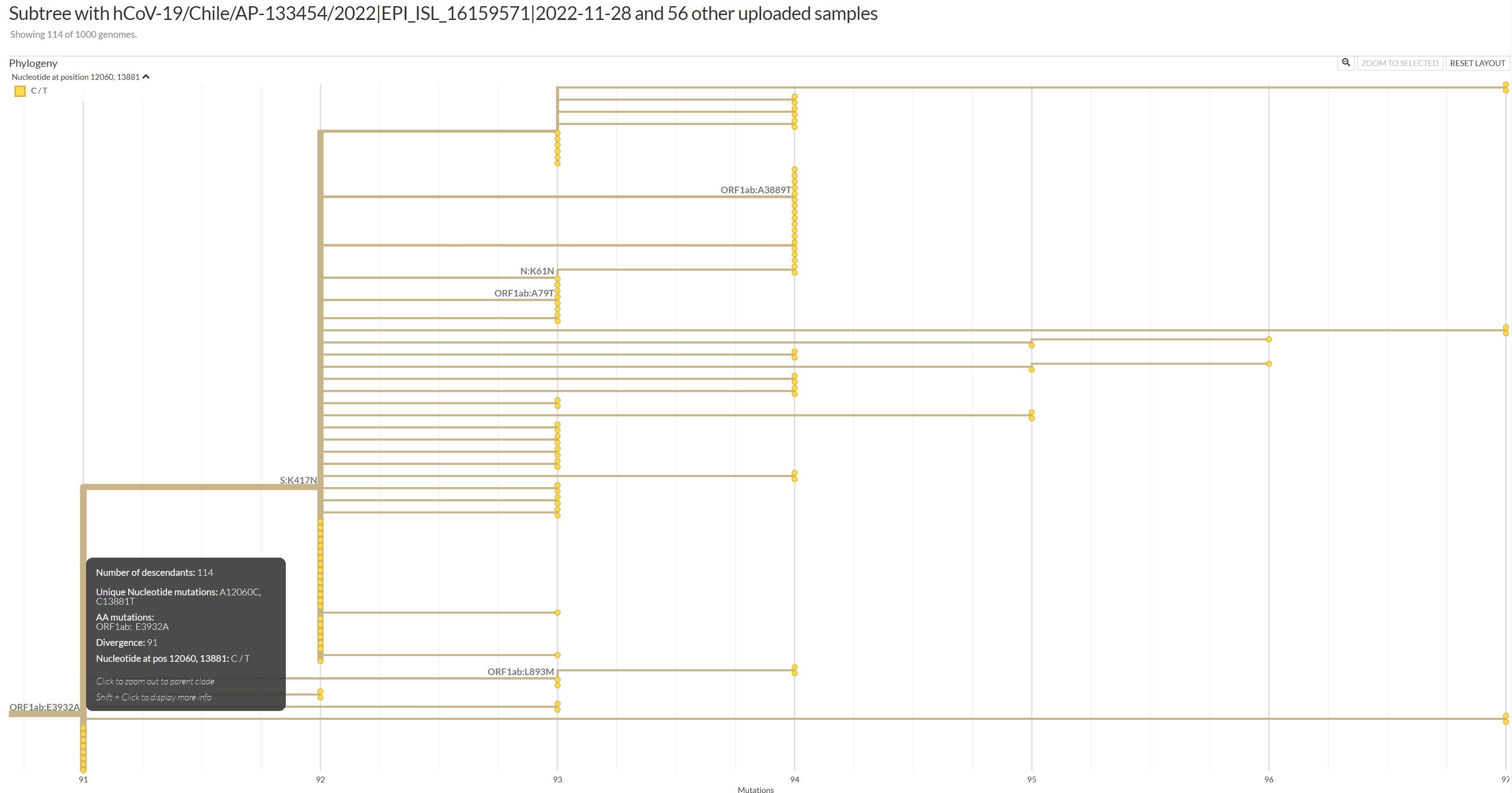 Potential Xbb2 With Additional Mutation Orf1abe3932a Mainly In Peru · Issue 1563 · Cov 