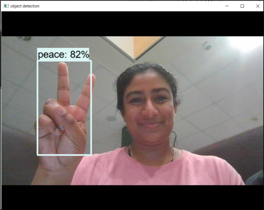 GitHub - neenumarkose/Real-Time-Hand-Gesture-Recognition