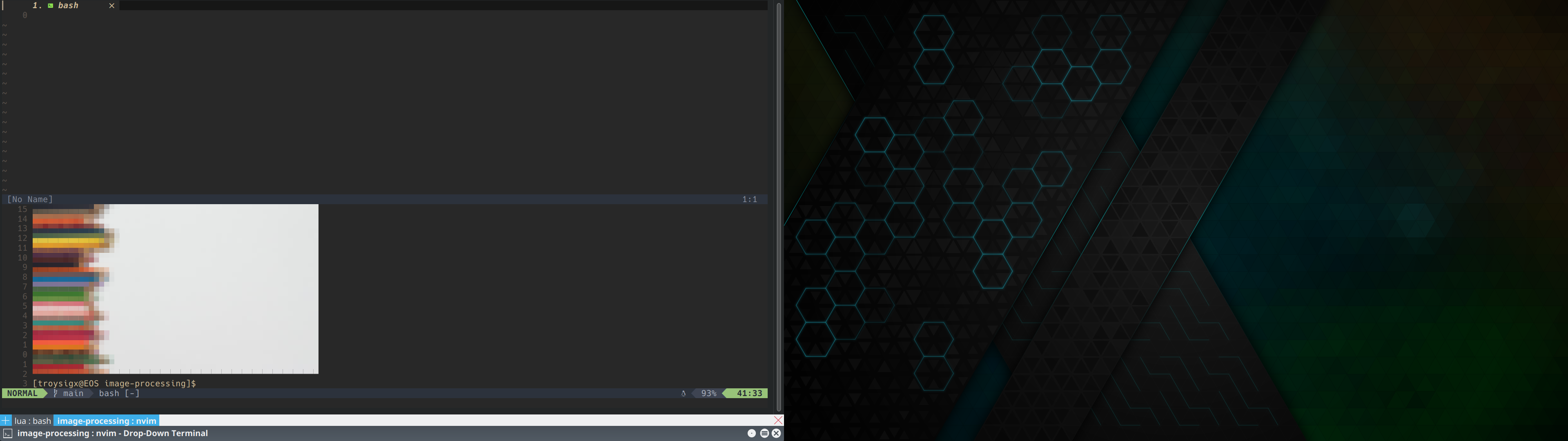 Image viewers like viu and chafa shows blurry images · Issue #22231 · neovim/neovim · GitHub