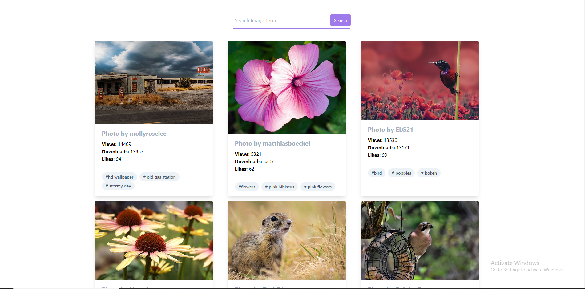 Github Anelembabelaphoto Gallery Reactjs And Tailwind Building Photo Gallery Using Unsplash 