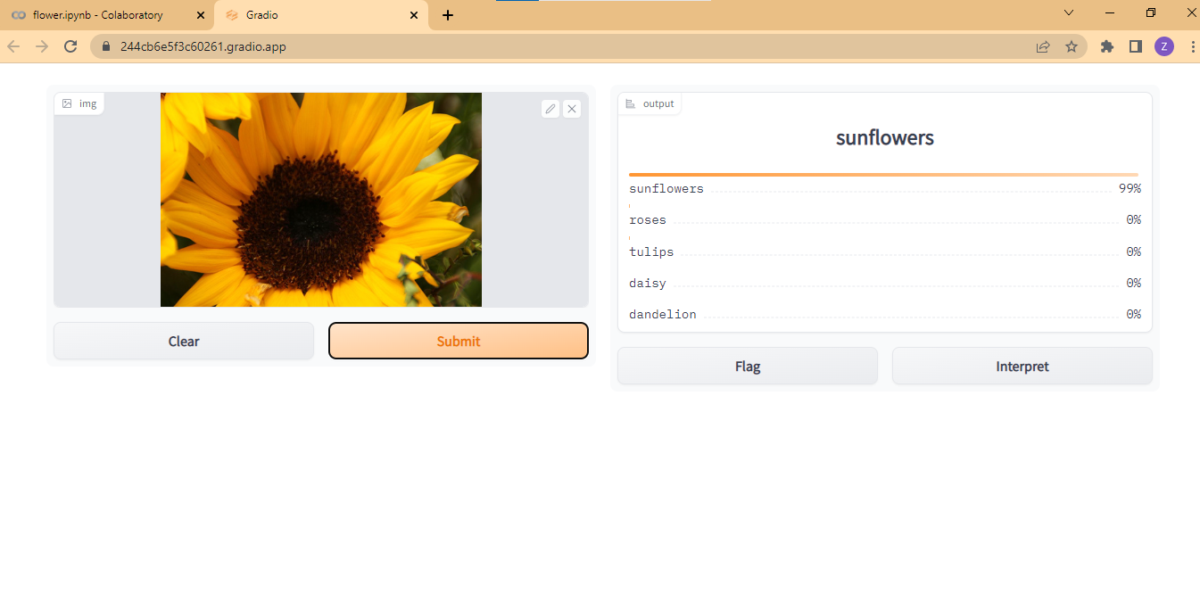 GitHub - krishnagevariya05/Flower_classification