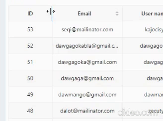 resizable: true with @resize-column="resizeColumn" at BasicTable.vue · Issue #1938 · vbenjs/vue ...