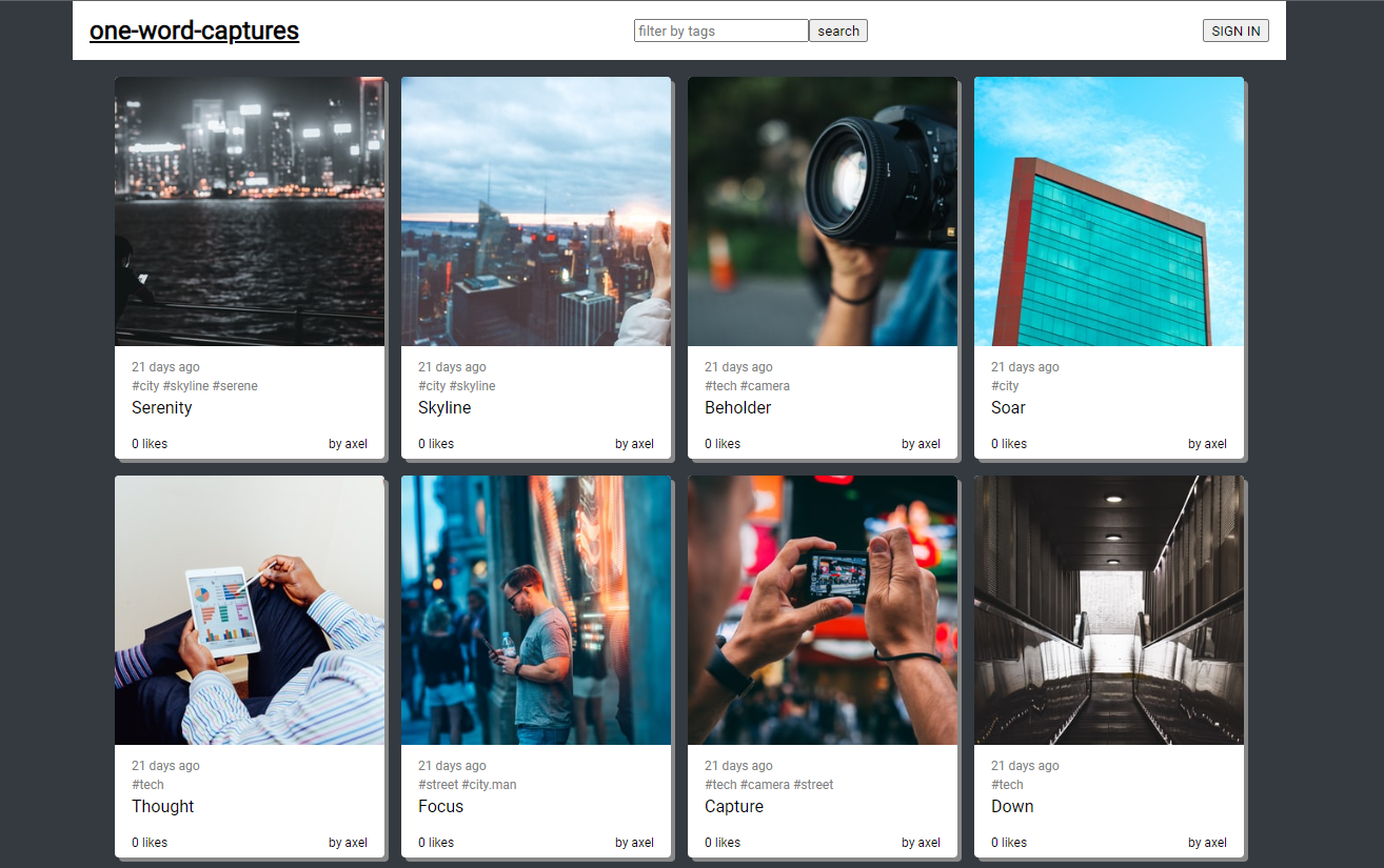 GitHub - tanshaochong/one-word-captures