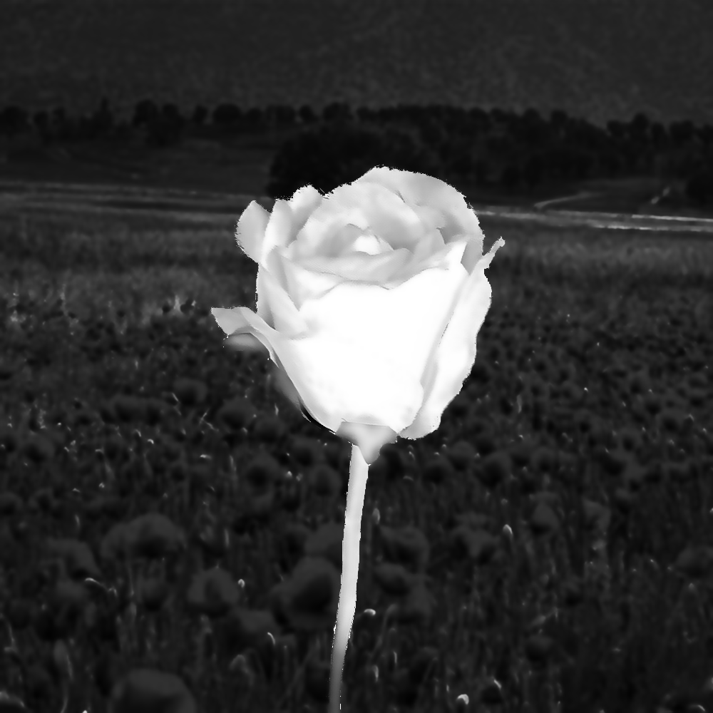 GitHub - shady2022/assignment25