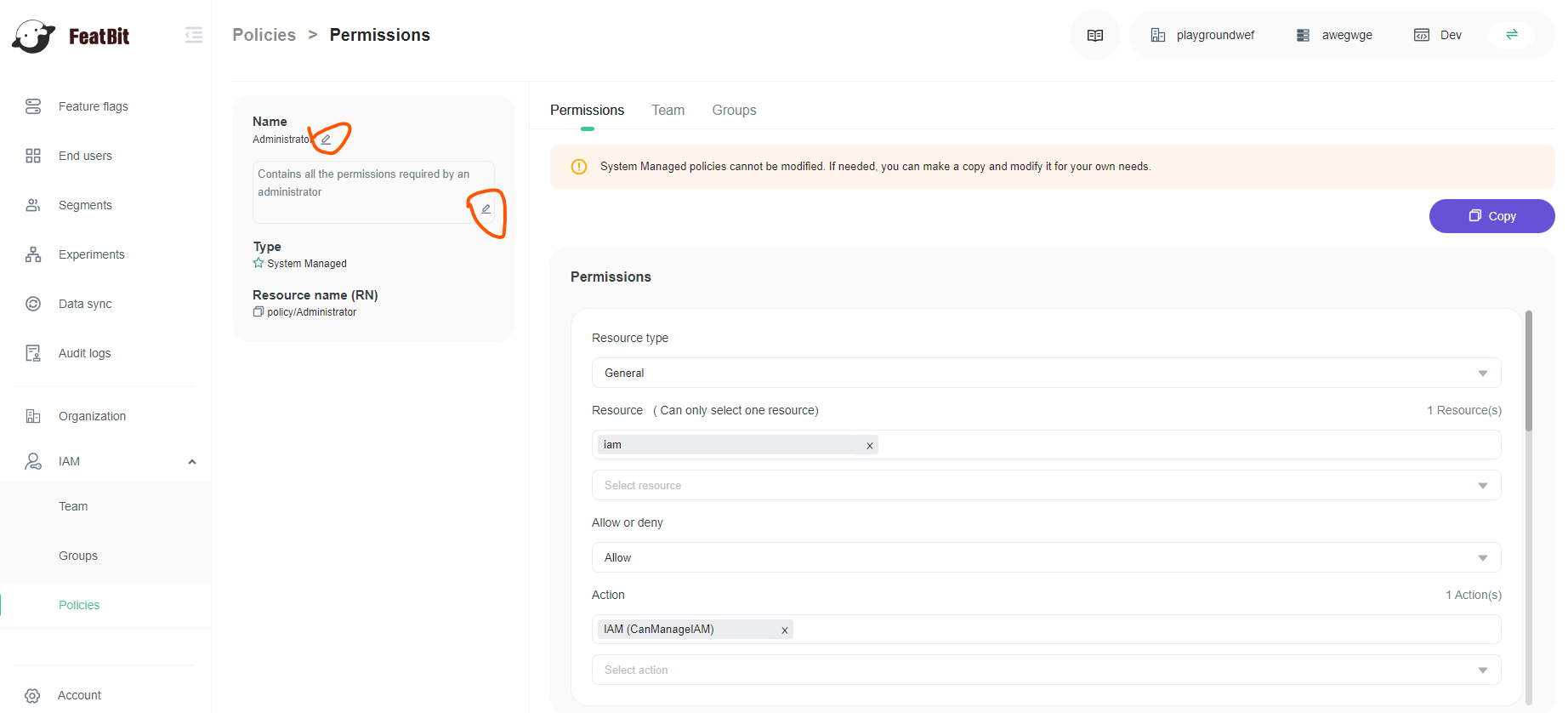 [Good First Issues]: Hide edit button on permission setting page for system managed permissions ...