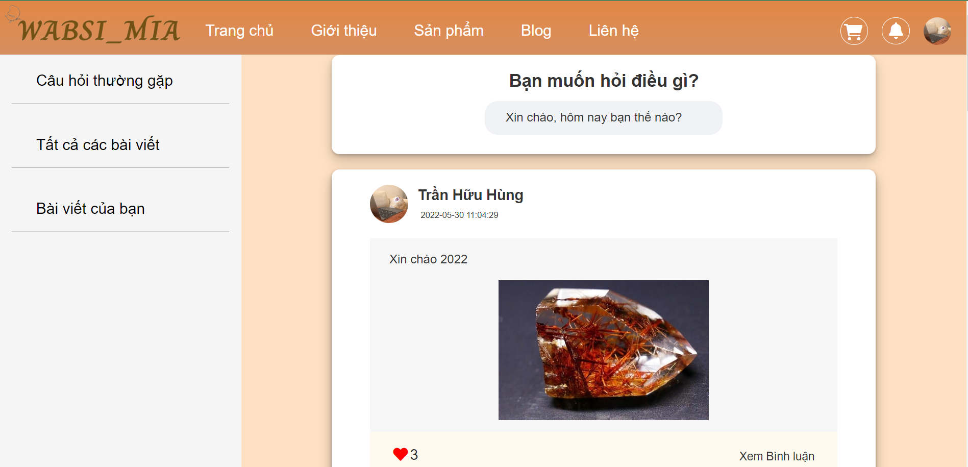 GitHub - proCode18/WabsiMia: BTL_Web