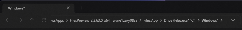 Bug: Can't open a path using Files.exe · Issue #10370 · files-community/Files · GitHub