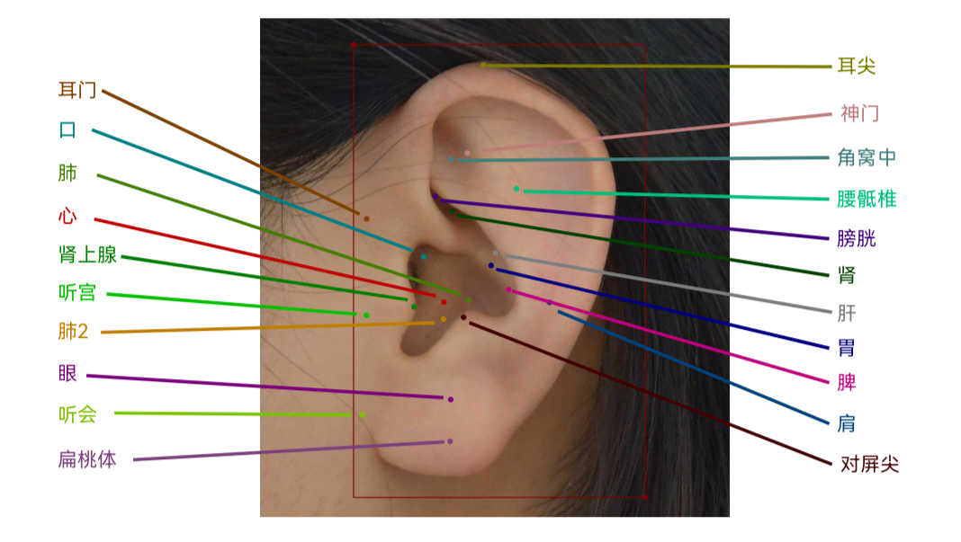 【AI实战营第二期】第一次作业提交16班 · Issue #87 · open-mmlab/OpenMMLabCamp · GitHub
