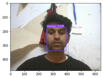 GitHub - heemalsic/Drowsiness-Detection