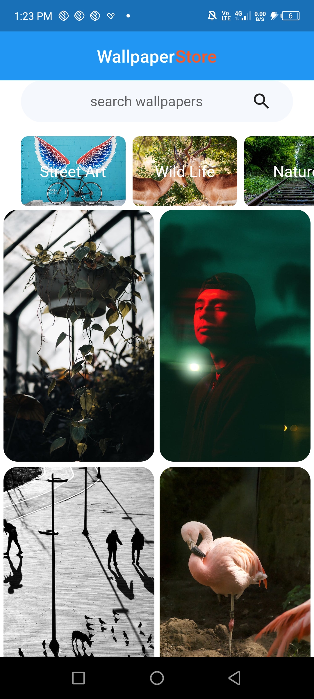 GitHub - Dhurka-dd/wallpaper_app: wallpaper app using Pexels API