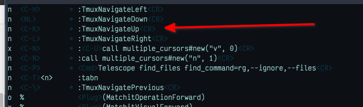 Key Conflict with vim-tmux-navigator · Issue #119 · ray-x/navigator.lua · GitHub