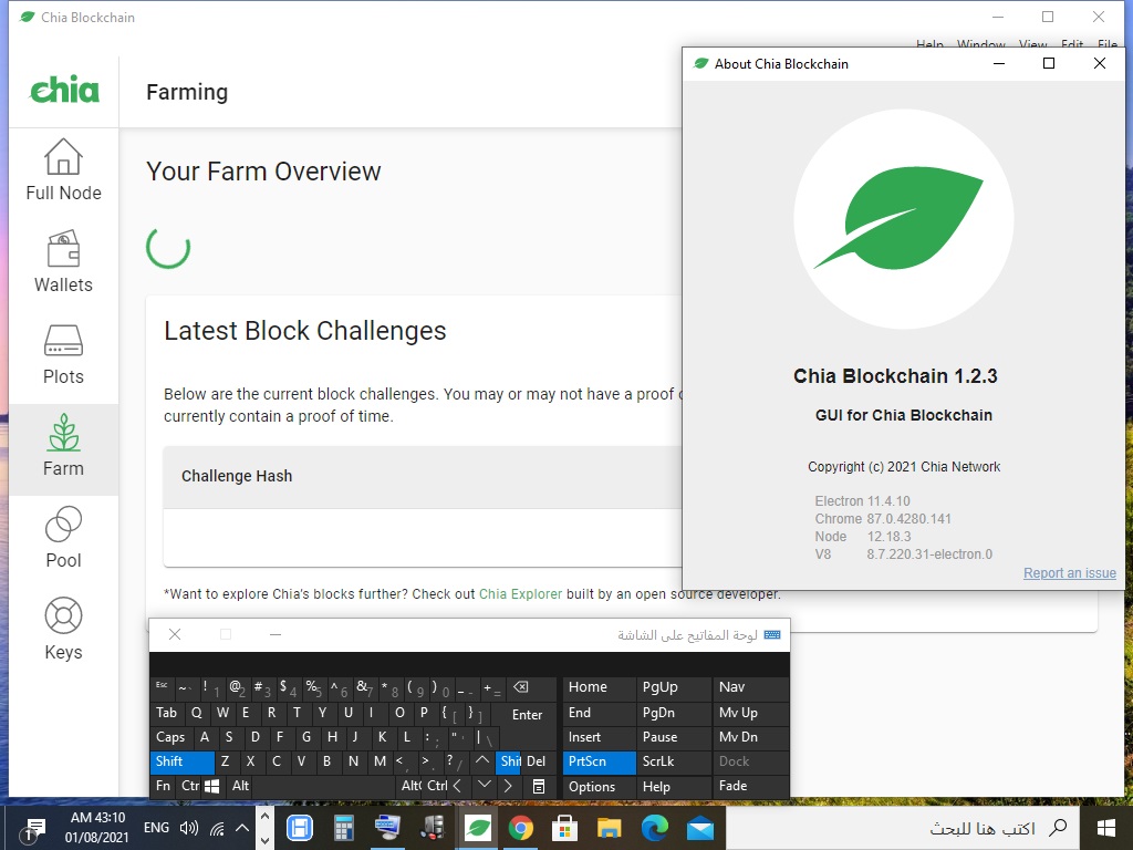 chia app problem · Issue #7898 · Chia-Network/chia-blockchain · GitHub