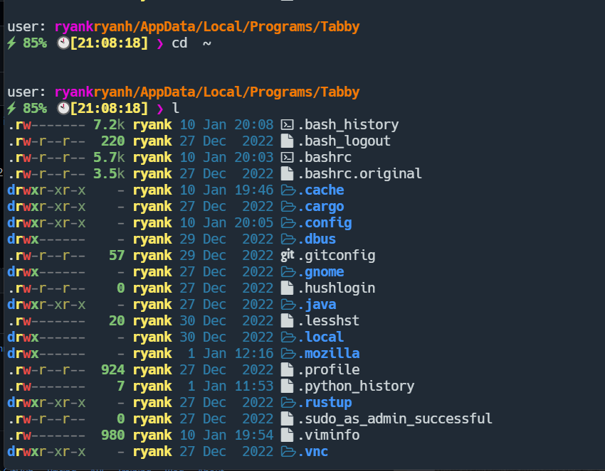 dir eror · Issue #4809 · starship/starship · GitHub