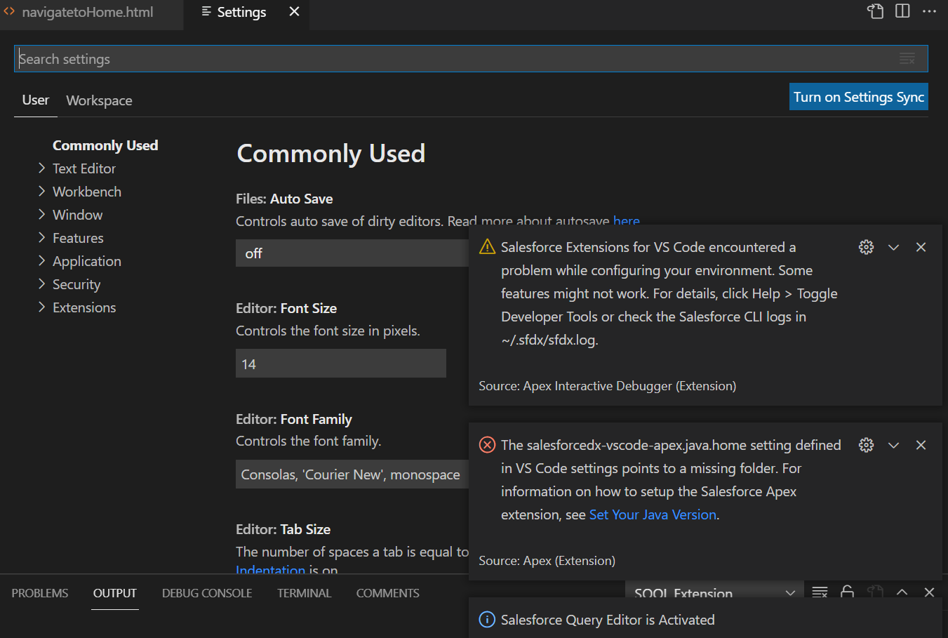 Apex Extension is Unresponsive. · Issue #3461 · forcedotcom/salesforcedx-vscode · GitHub