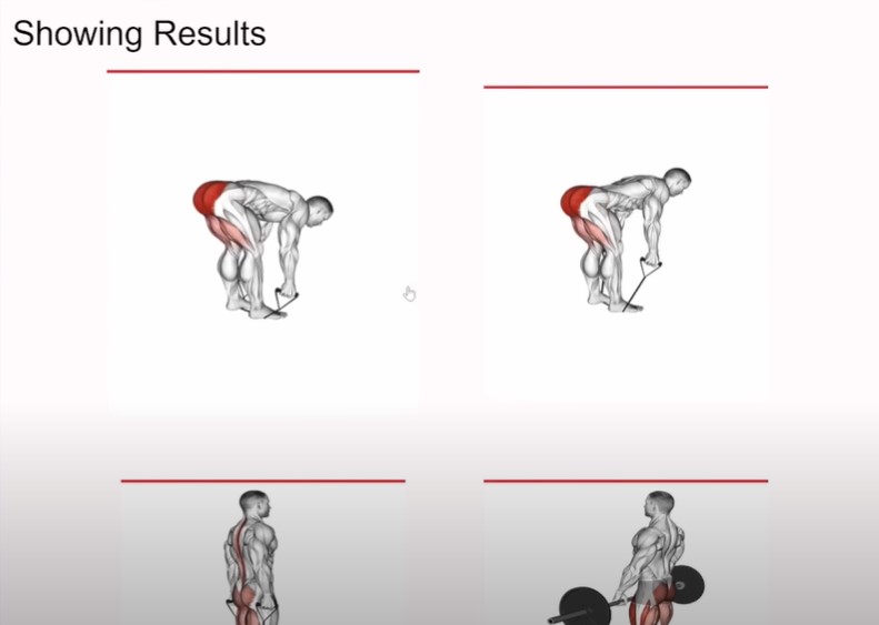 GitHub - MohammedAlawna/GymApp: - Special excercise app for Gyms by React.