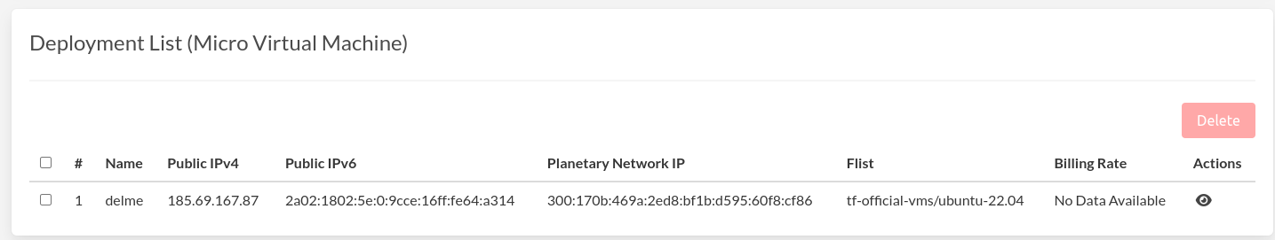 QA-net: Full VM is listed under Micro VM · Issue #1370 · threefoldtecharchive/grid_weblets · GitHub
