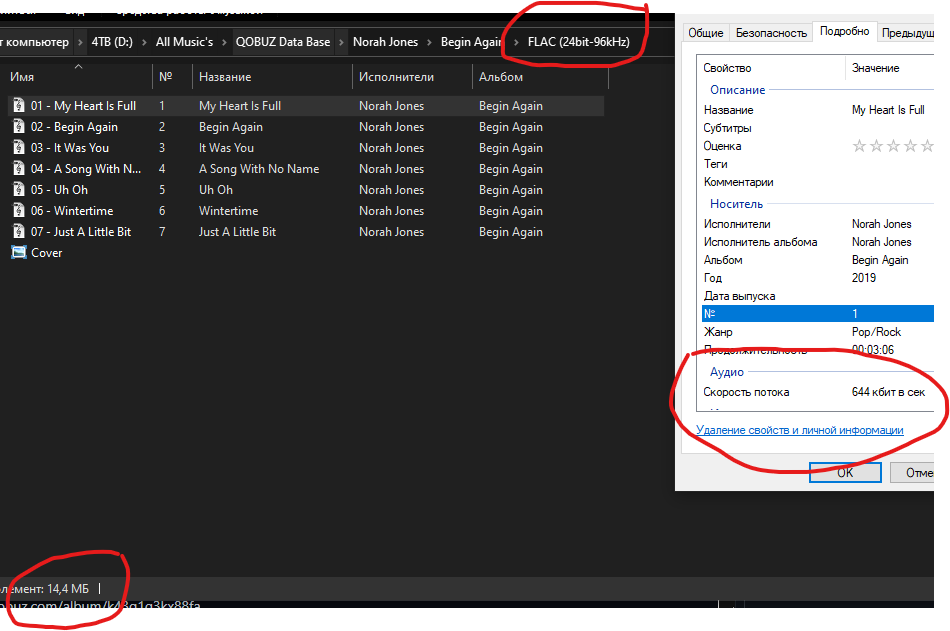 Stopped downloading Hi-Res files. · Issue #95 · ImAiiR/QobuzDownloaderX · GitHub