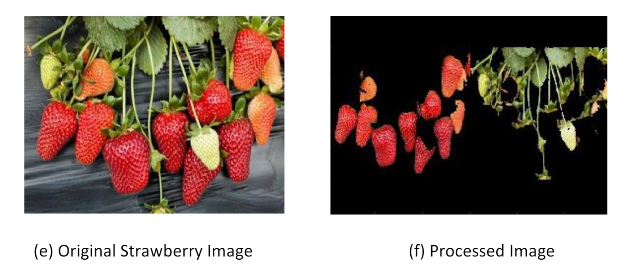 GitHub - akkocz17/Image-color-based-segmentation-masking-and-etc: Matlab project include color ...