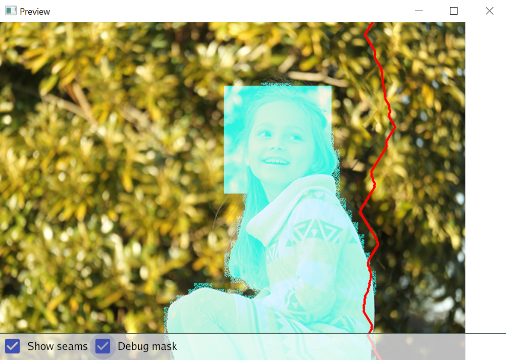 Feat: GUI mode debugging option · Issue #88 · esimov/caire · GitHub