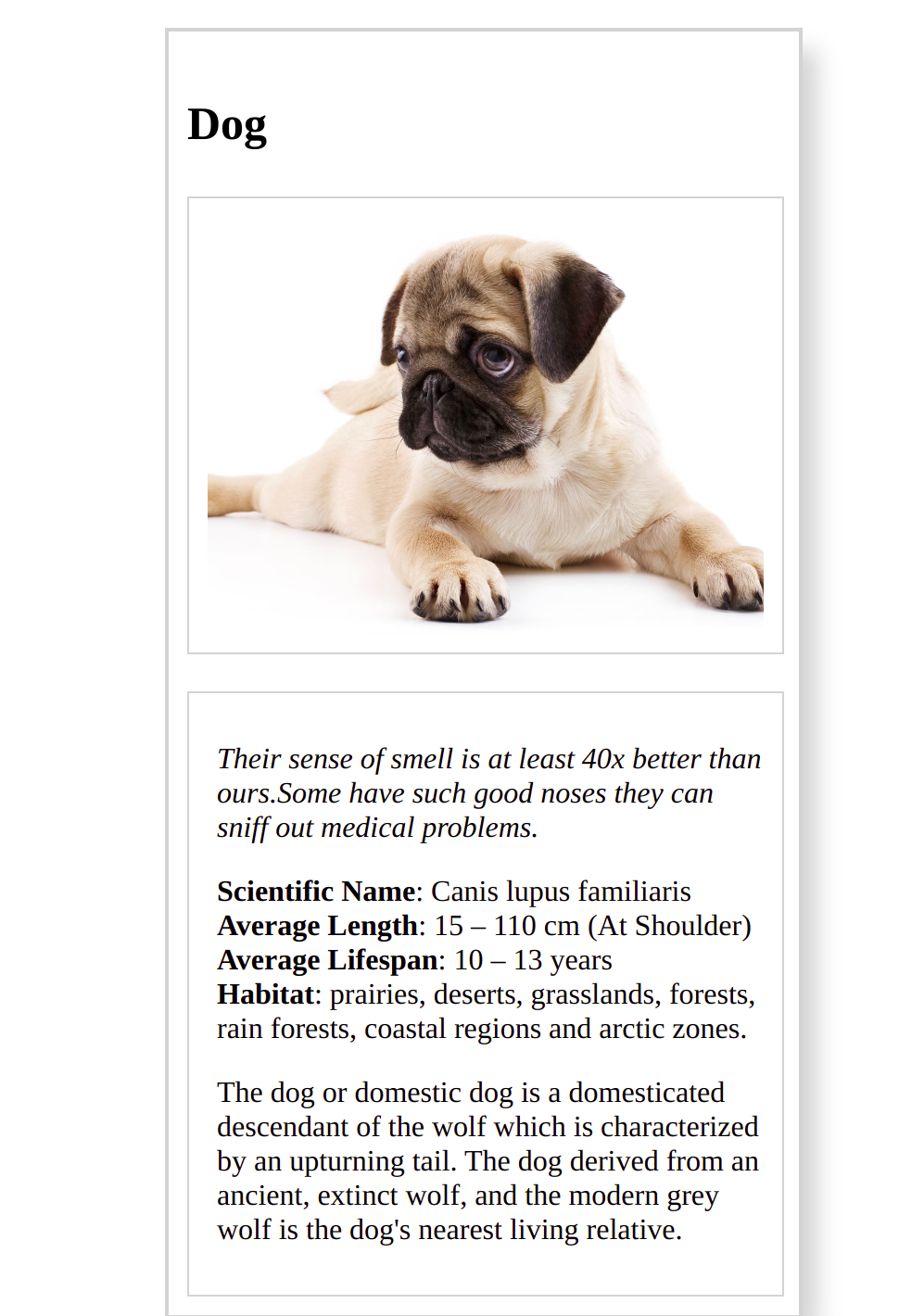 GitHub - palashkumar1/Animal-Card: With the help oh HTML and Css, I ...