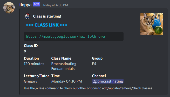 GitHub - Saply/floppa-discord-bot: A Discord bot made for fun