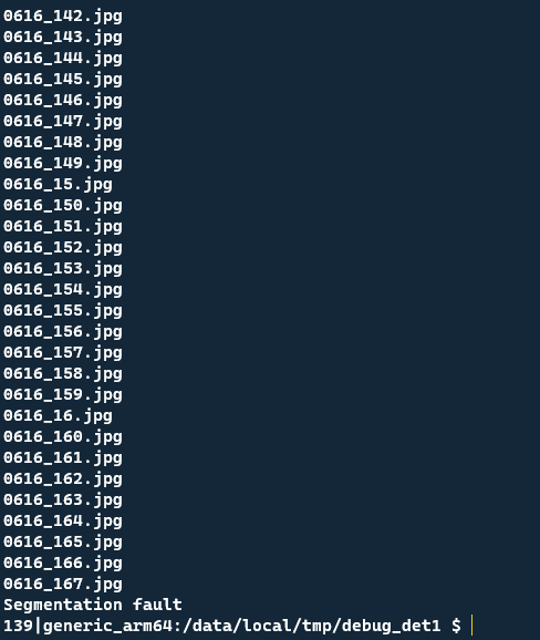 仅运行db模型在shell测试挂掉，报错Segmentation fault · Issue #9218 · PaddlePaddle ...