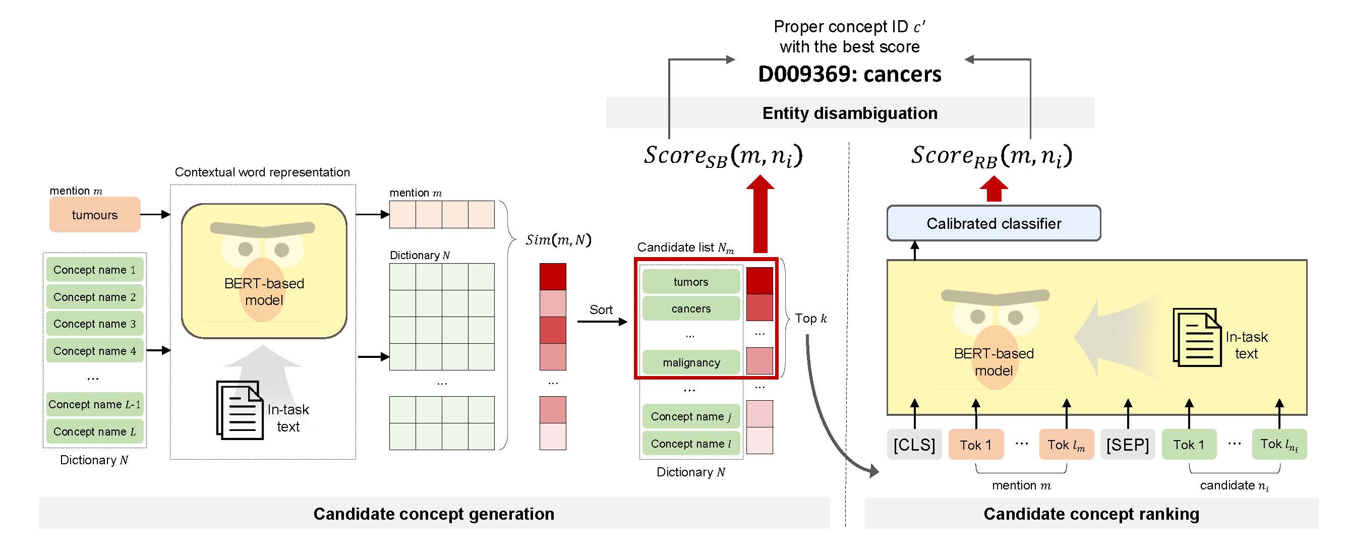 GitHub - DMCB-GIST/Normalization: Re-ranking system with BERT for biomedical concept normalization