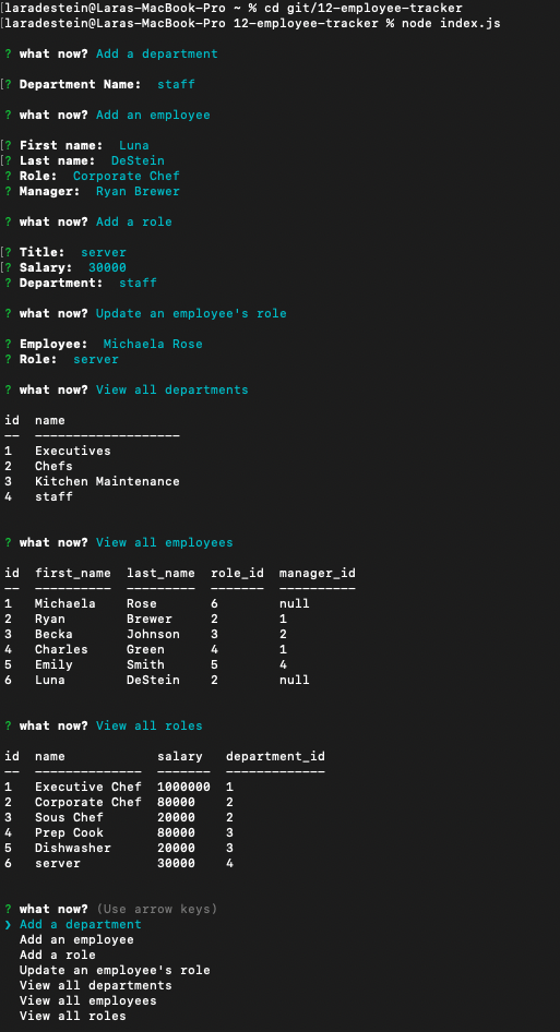 GitHub - lara-destein13/12-employee-tracker