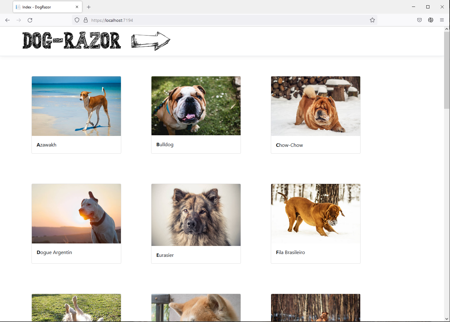 GitHub - CelineRobard/Asp.NET_Razor-EntityFramework