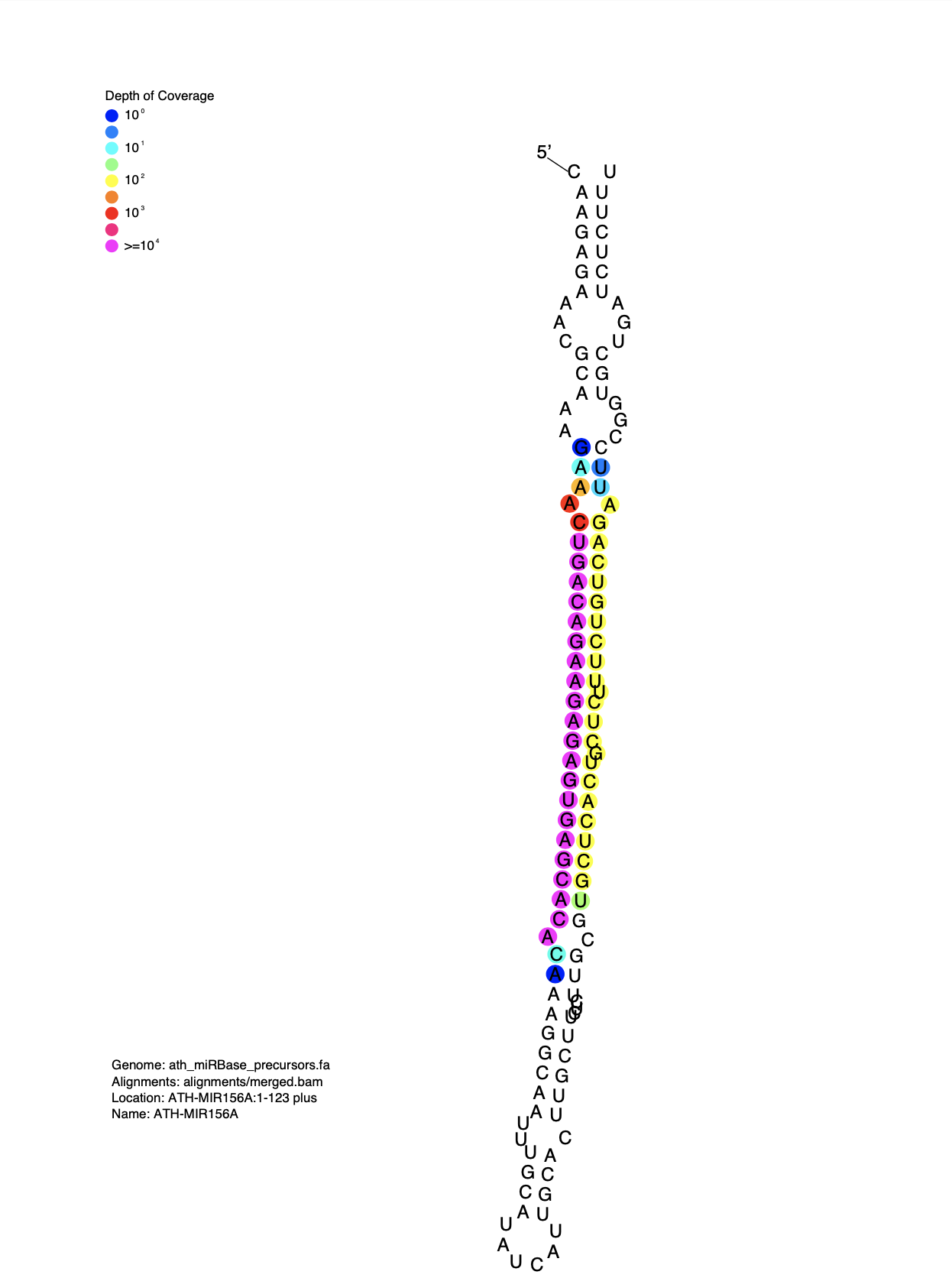 GitHub - Aez35/miRScore: microRNA validation tool for analyzing annotated microRNAs in plants ...