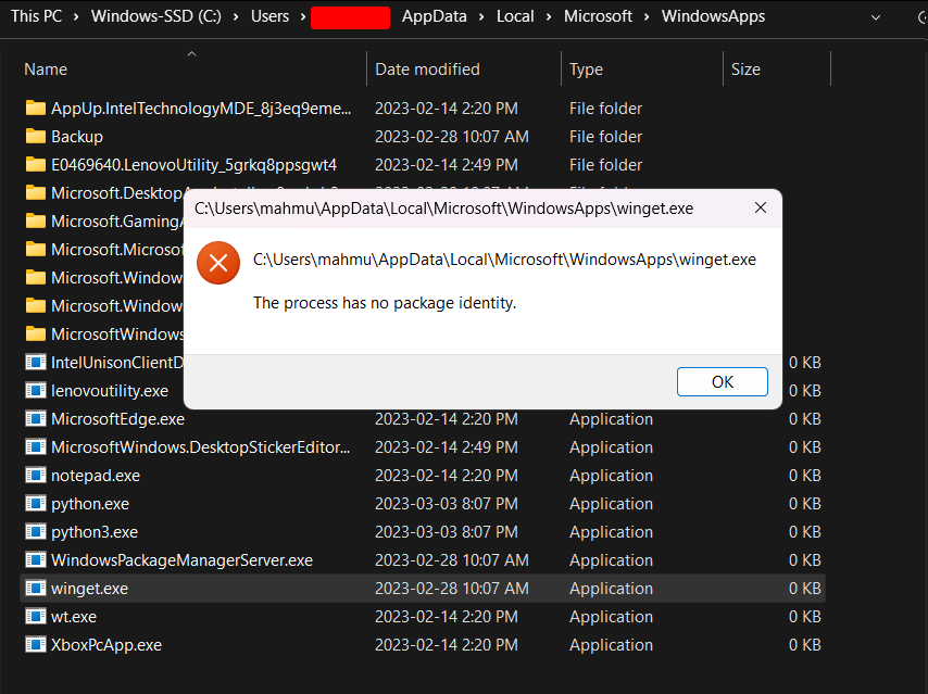 Winget stopped working for no reason · Issue #3039 · microsoft/winget-cli · GitHub