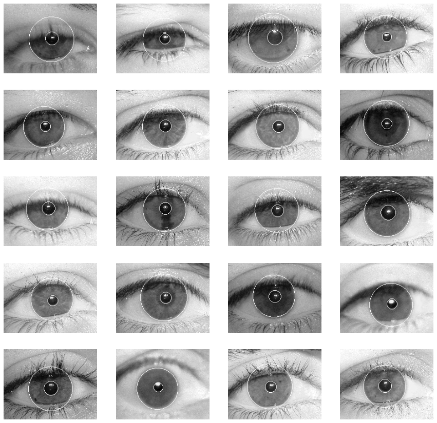 GitHub - abarcel/iris: Python implementation of Daugman's Integro-Differential Operator for iris ...