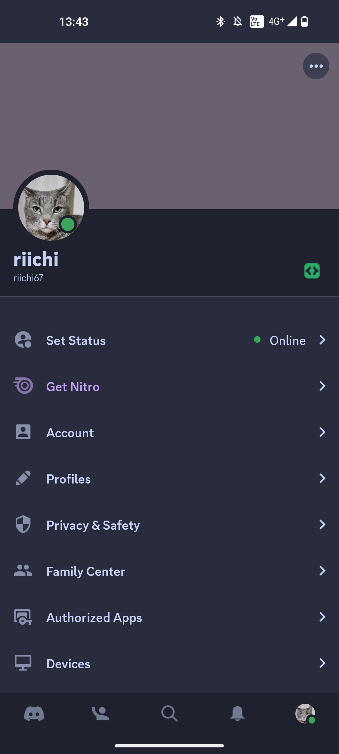 Vendetta · Issue #2159 · catppuccin/catppuccin · GitHub