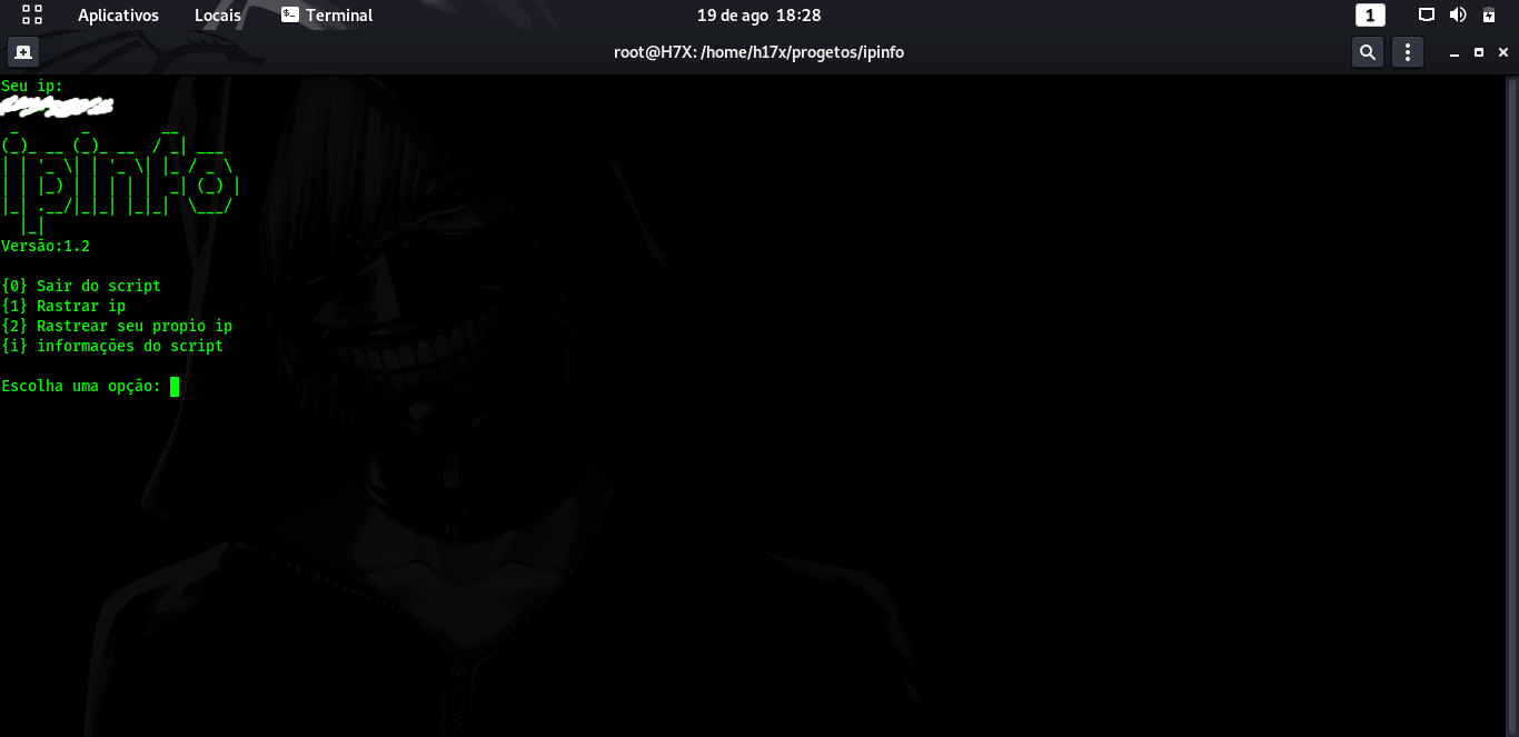 GitHub - S4T4Nn/ipinfo: Esse script rastreia ip e traz o maximo de resultados possiveis