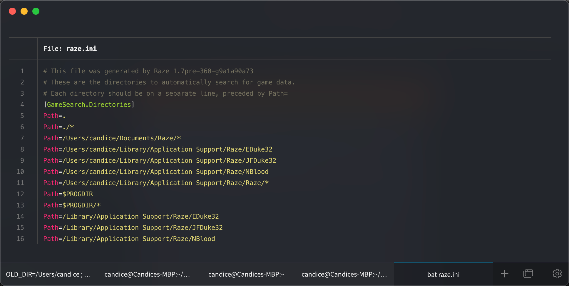 [BUG] Scanning too many Directories on Startup · Issue #802 · ZDoom/Raze · GitHub