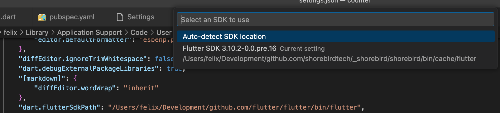 Flutter: Change SDK does not detect multiple SDKs · Issue #4607 · Dart-Code/Dart-Code · GitHub